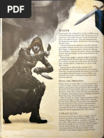 456029-Character Sheet ROGUE EDITABLE | PDF | Role Playing Games | Gaming