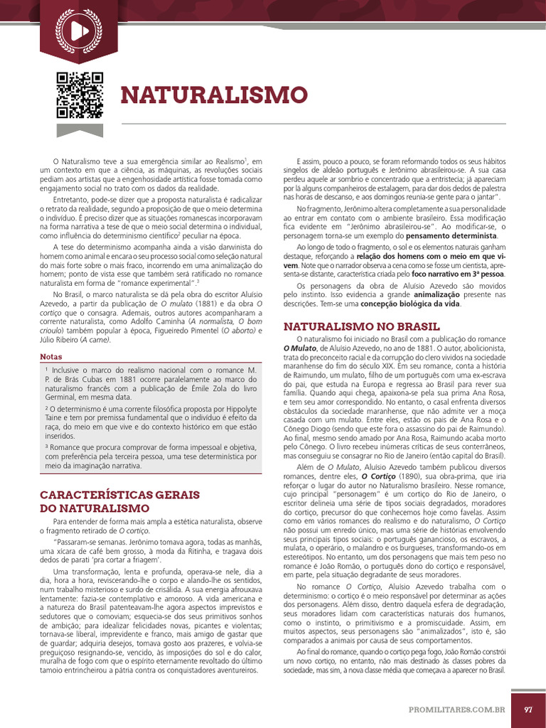Naturalismo: Contexto e Características | PDF | Realismo (artes)