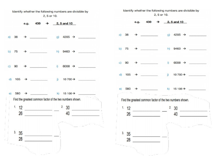 dvisibilty rules for 2,5,10 worksheet | PDF