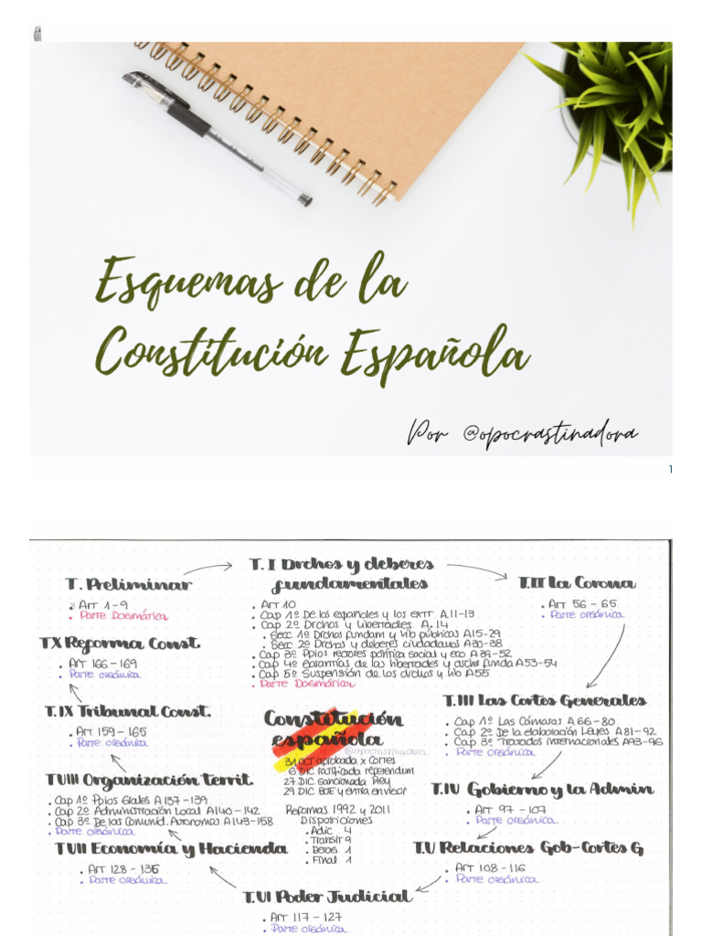 La Constitución Española en Esquemas | PDF
