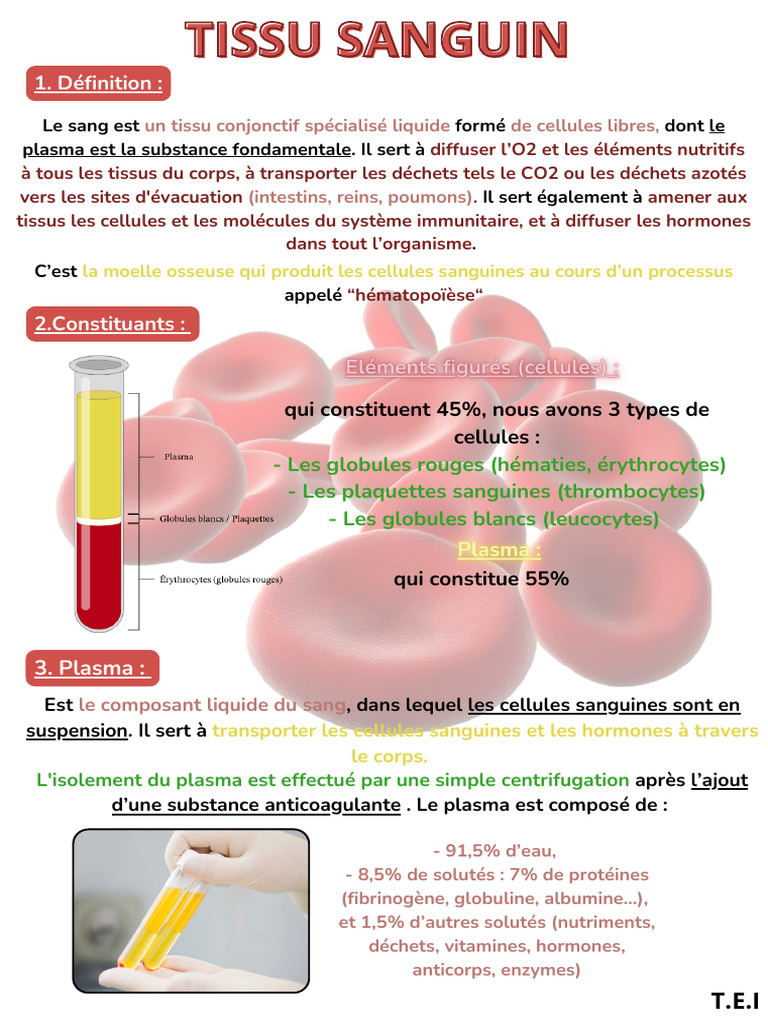 Tissu Sanguin | PDF | Sang | Globule rouge