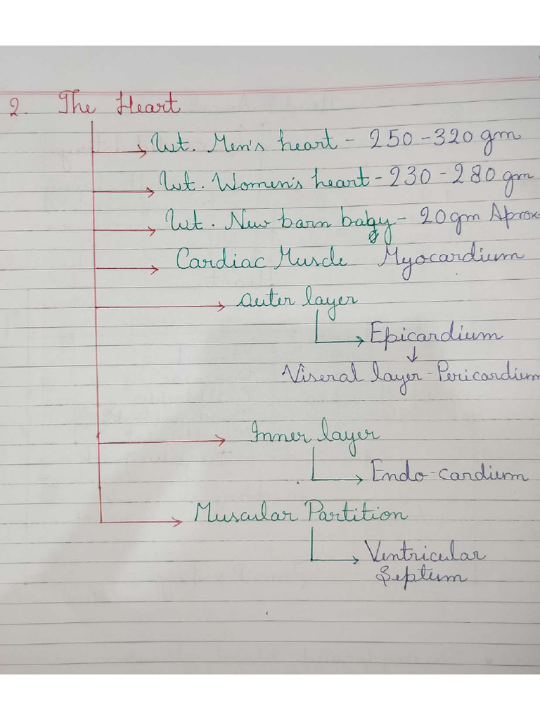 Axs Circulatory System | PDF