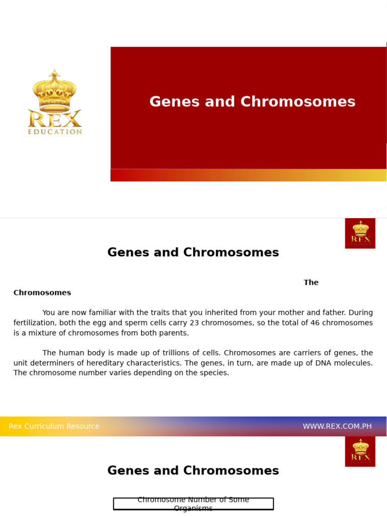 Genes+and+Chromosomes Lesson 3 | PDF | Chromosome | Gene