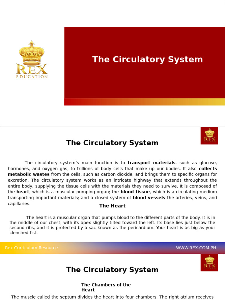 Circulatory System Overview | PDF | Heart | Heart Valve