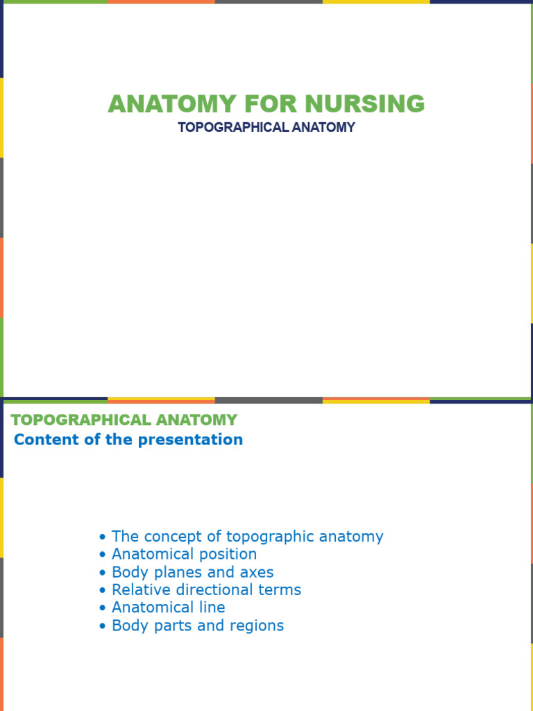 Topographic Anatomy - en | PDF | Anatomical Terms Of Location | Pelvis