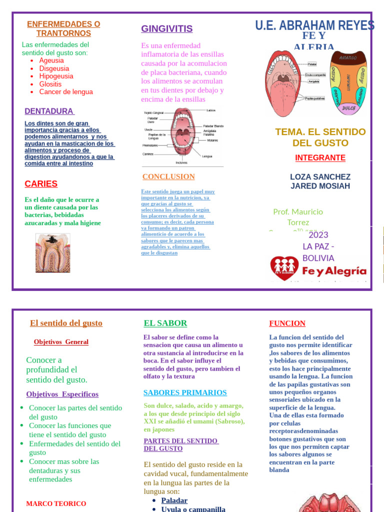 CRIPTICO | PDF | Gusto | Anatomía