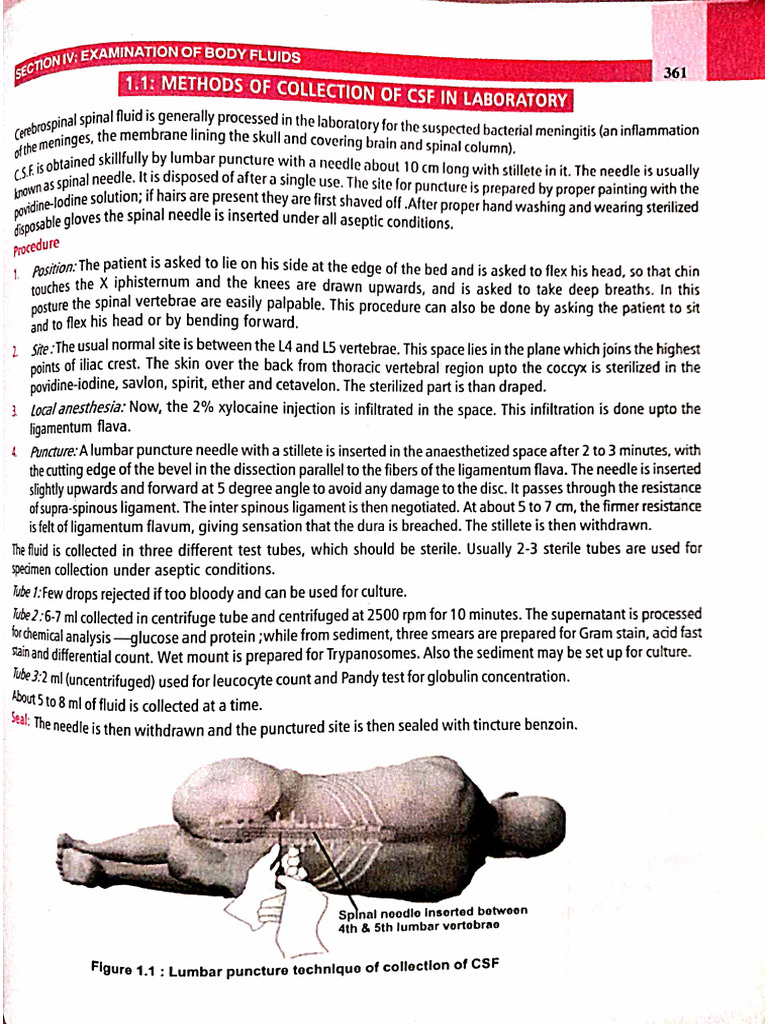 PV - Pathology 2 | PDF