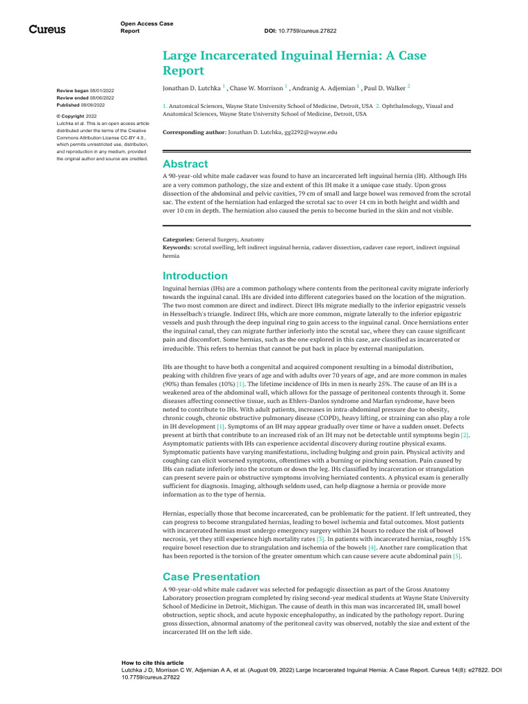 Large Incarcerated Inguinal Hernia A Case Report | PDF | Medical ...
