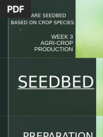 B8 Crop Production (Seed Bed) | PDF | Crops | Seed