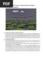 Sistema de Roza y Quema Maya | PDF | México | Agricultura