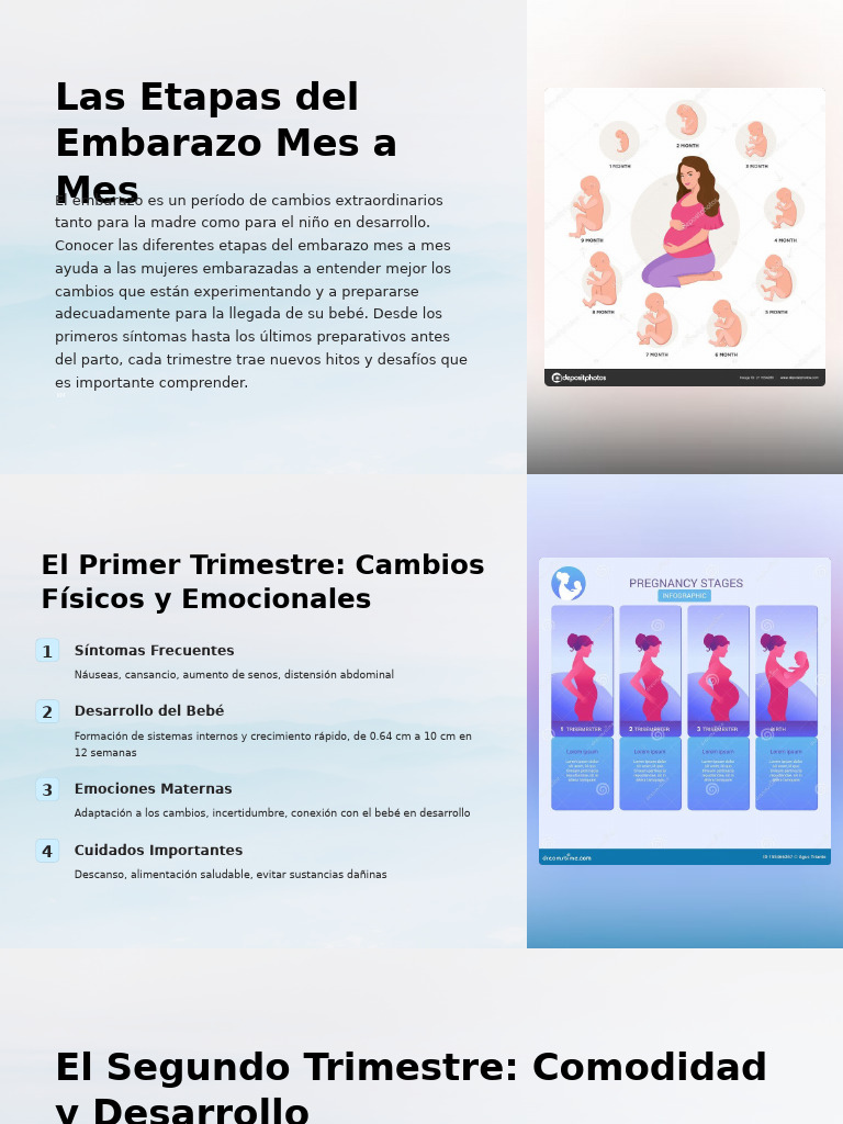 Las Etapas Del Embarazo Mes A Mes | PDF | El embarazo | Parto