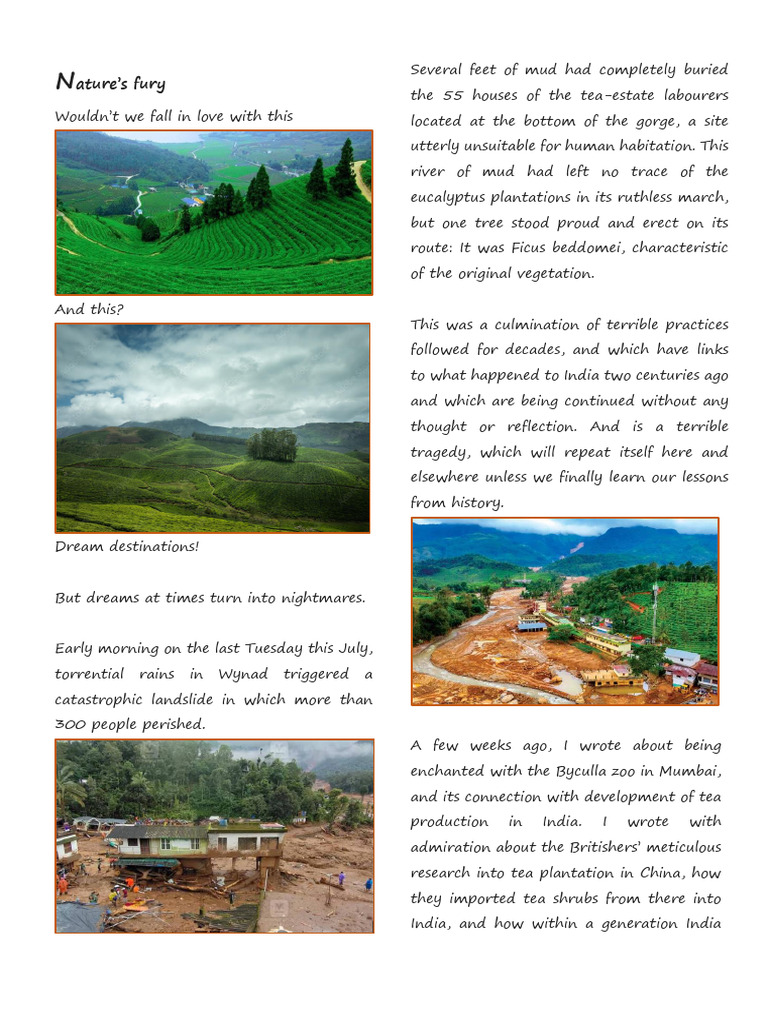 Wynad - History of An Avoidable Tragedy | PDF