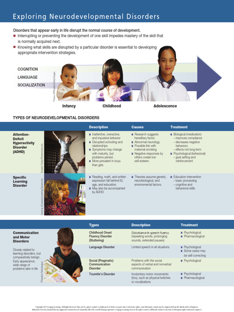 Overview of Neurodevelopmental Disorders | PDF | Attention Deficit ...