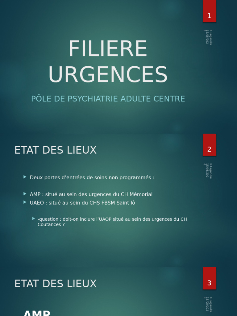 Filiere Urgences | PDF | Services publics | Urgences médicales