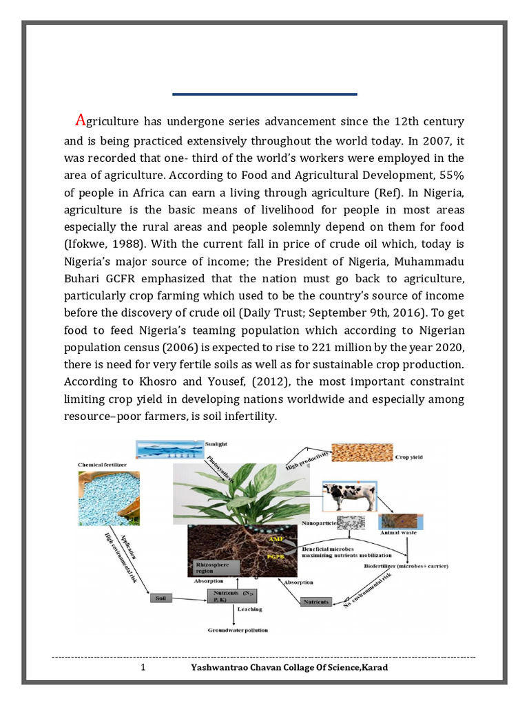 T.environment Project | PDF | Anaerobic Digestion | Soil