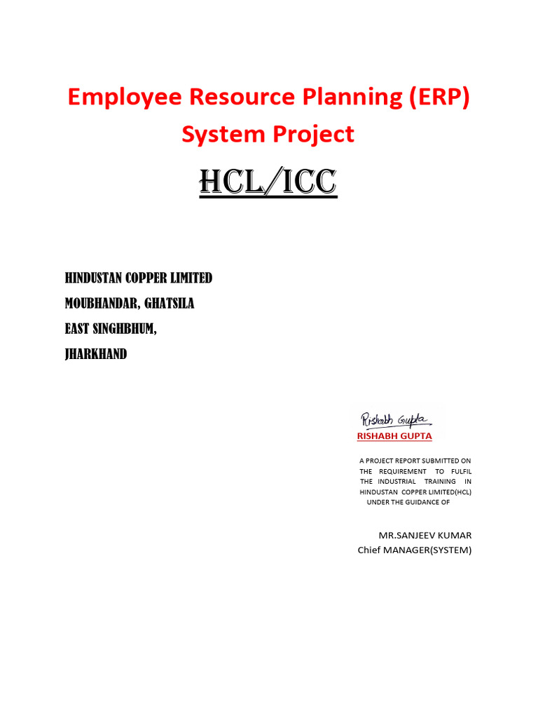 ERP System Report1 | PDF | Enterprise Resource Planning | Databases