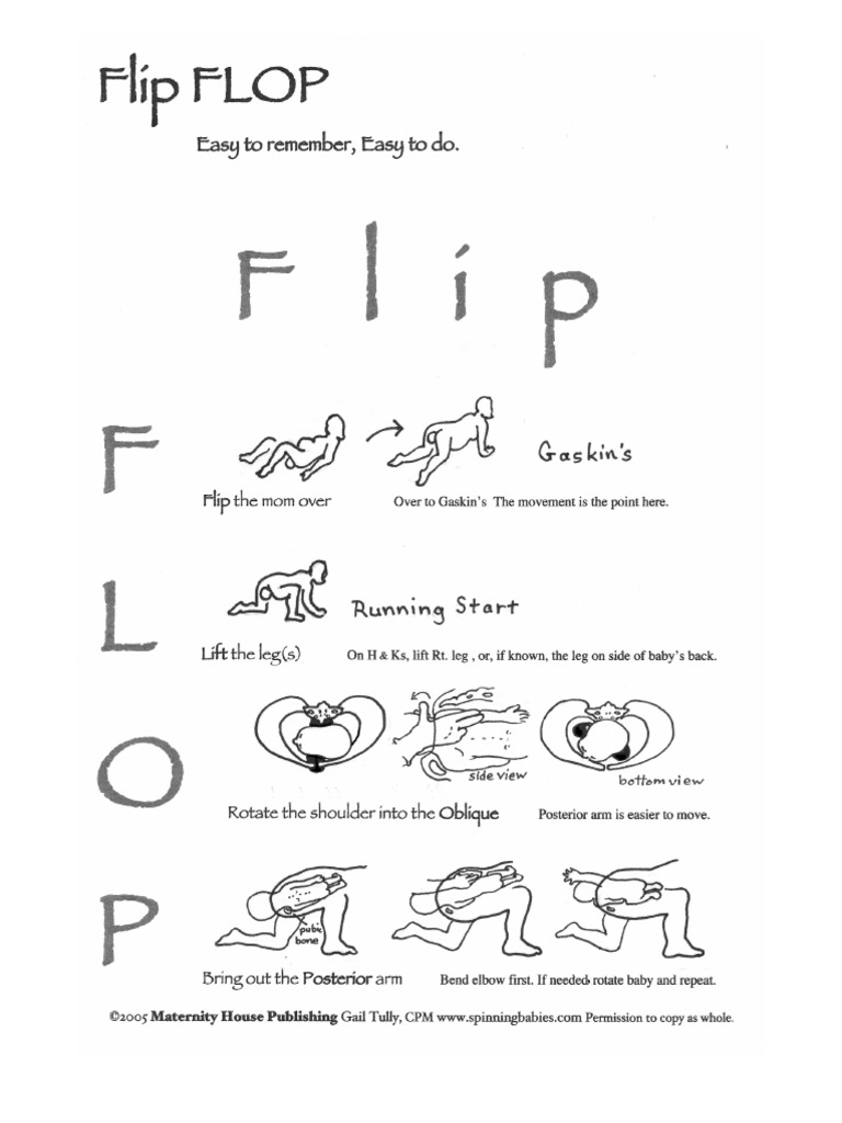 Flip Flop | PDF