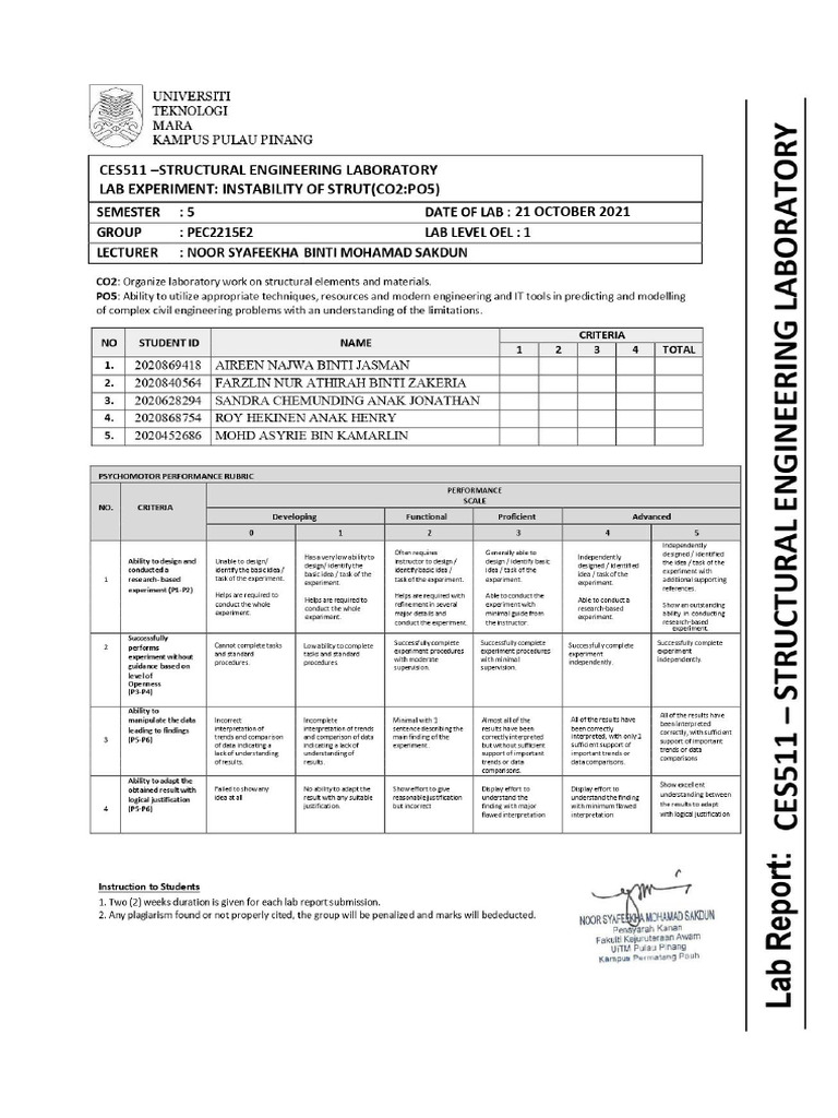 Instability of Strut | PDF | Buckling | Building Engineering