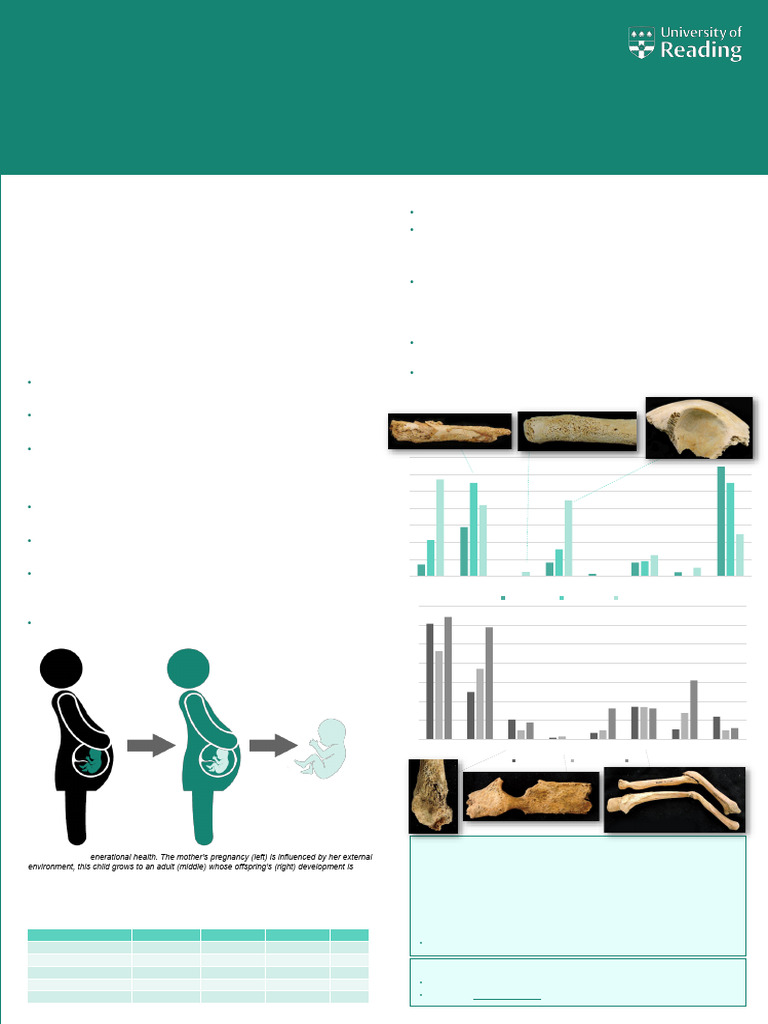 The Impact of The Roman Occupation On Fetal, Perinatal, Infant and ...