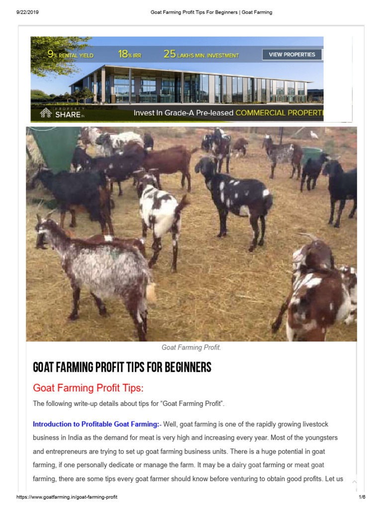 18goat Farming Profit Tips For Beginners - Goat Farming | PDF | Goat ...