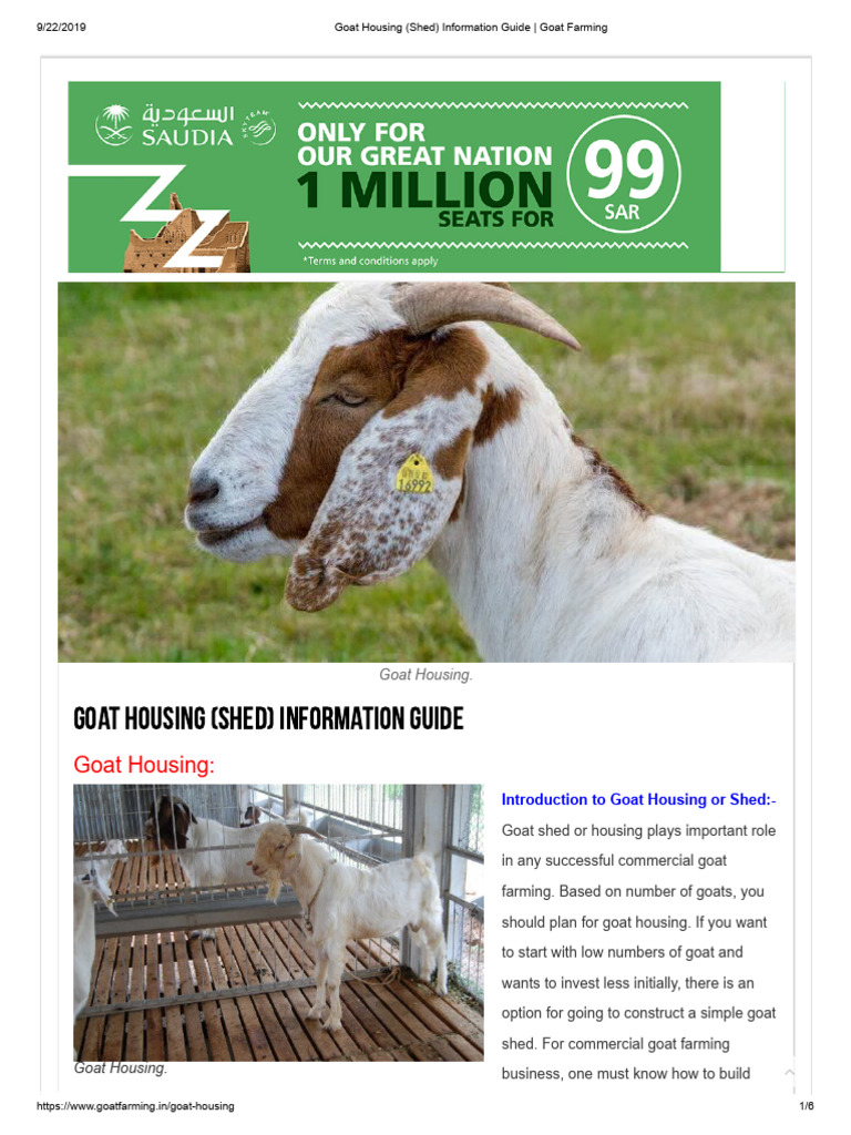 Goat Shed Design for 100 Goats | PDF | Goat | Shed