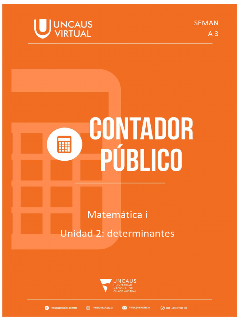 Determinantes Pdf Determinante Matriz Matemáticas 9301
