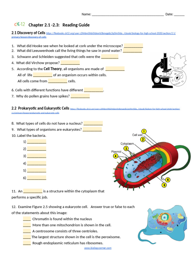 Ch 2.1-2.4 CK 12 Reading Guide - Cells | PDF | Cell (Biology) | Chloroplast