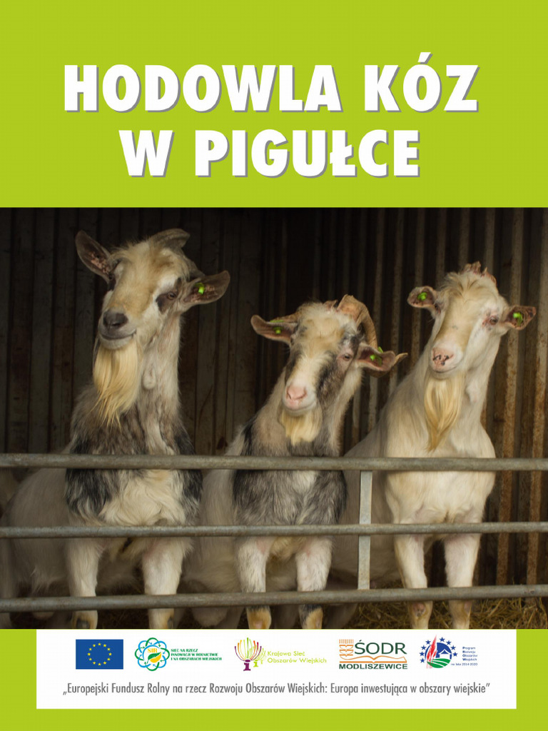 Hodowla Koz W Pigulce - M. Murawski | PDF