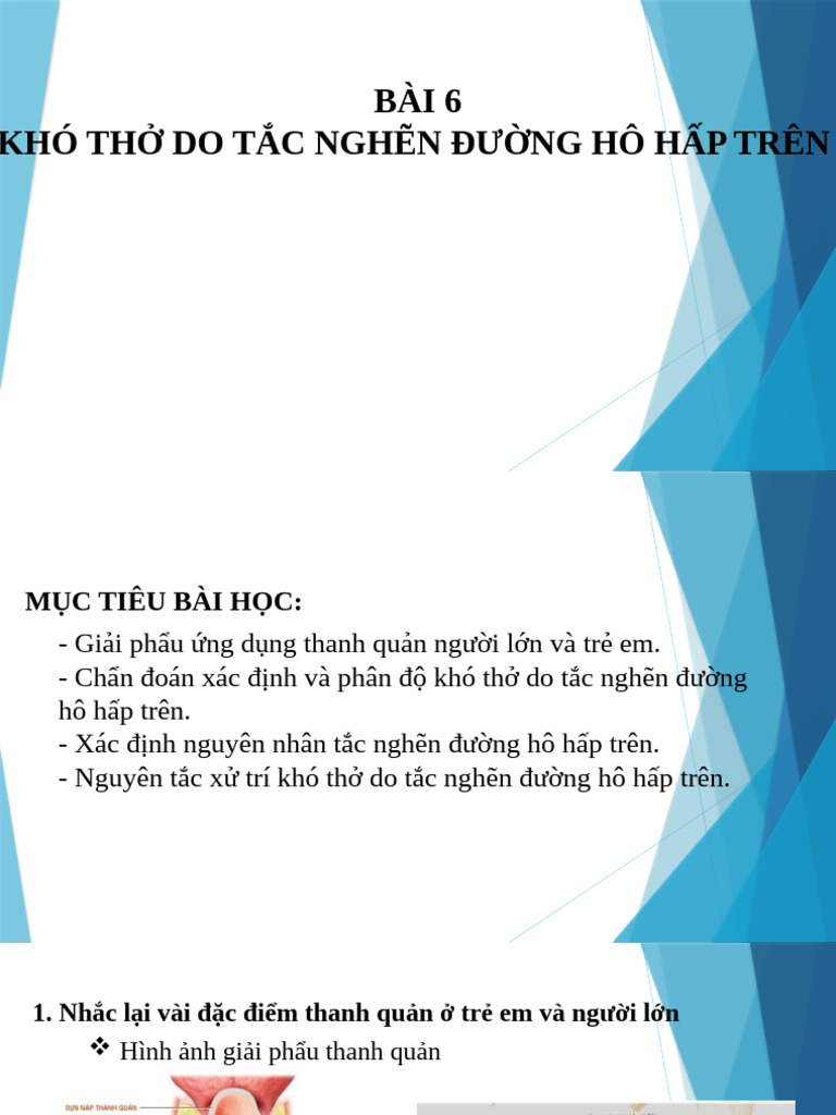 Tai Mui Hong | PDF