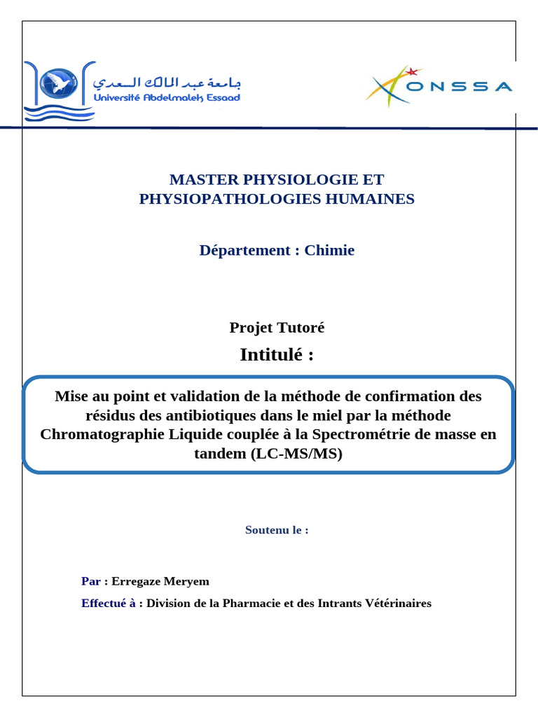 PFE VERSION Finale Meryem Erregaze Version Timou | PDF