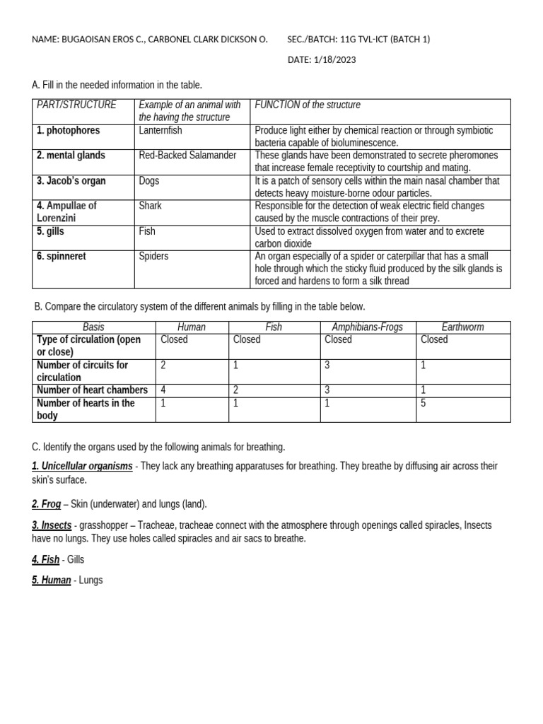 Animal System Worksheet | PDF