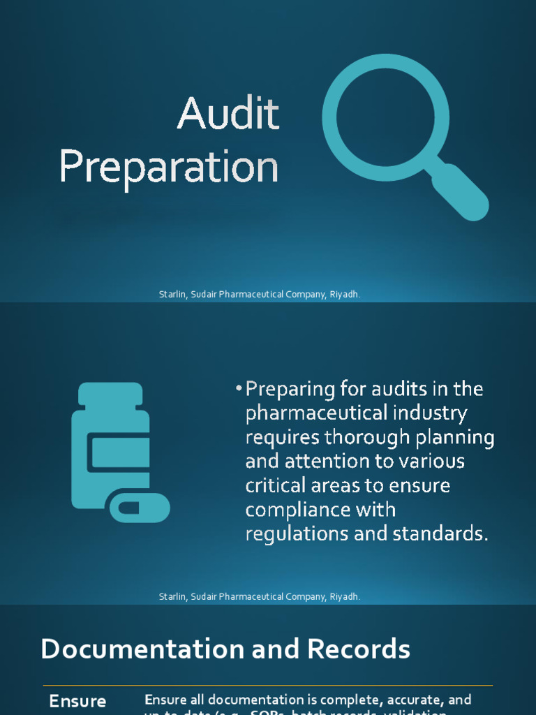 Audit Preparation | PDF
