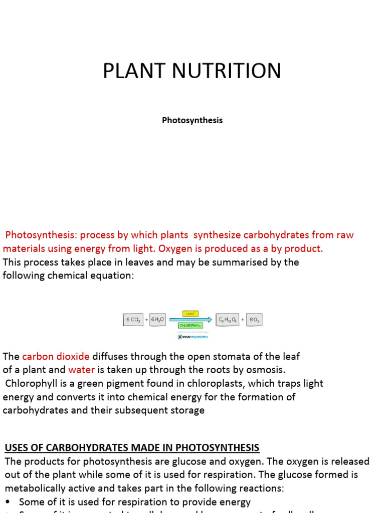 Plant Nutrition Photosynthesis | PDF