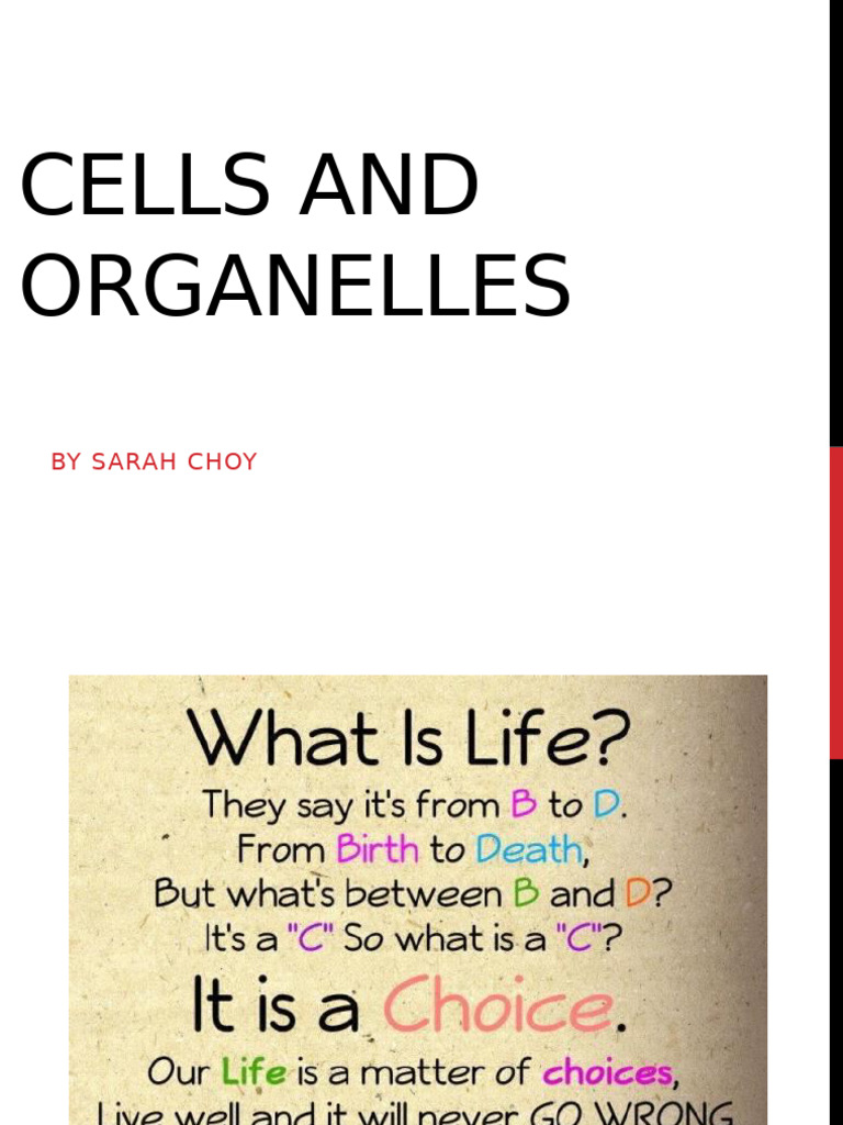 Introduction To Cells-2 | PDF