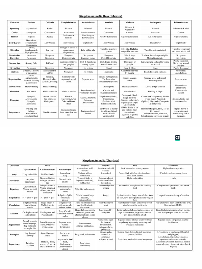 Animalia | PDF