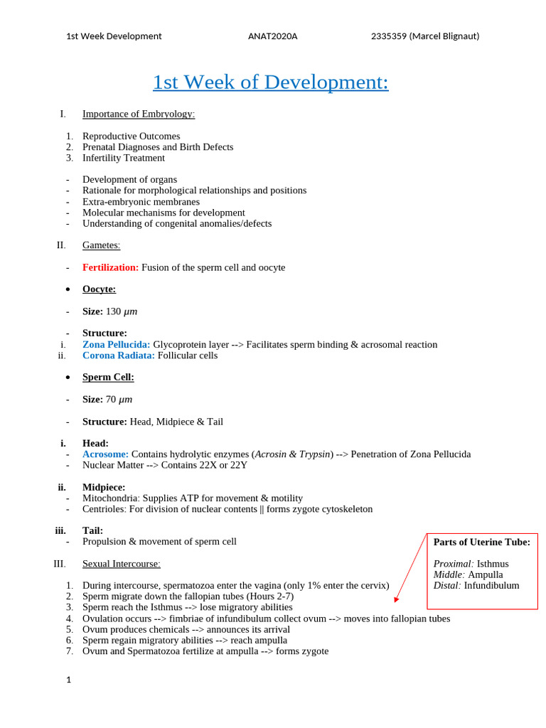 1) 1st Week Development Notes | PDF
