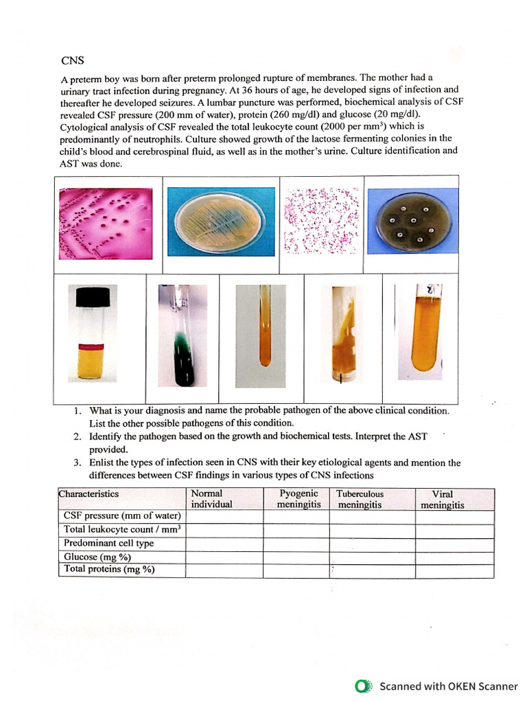 Microbiology Charts IA2 Practical | PDF