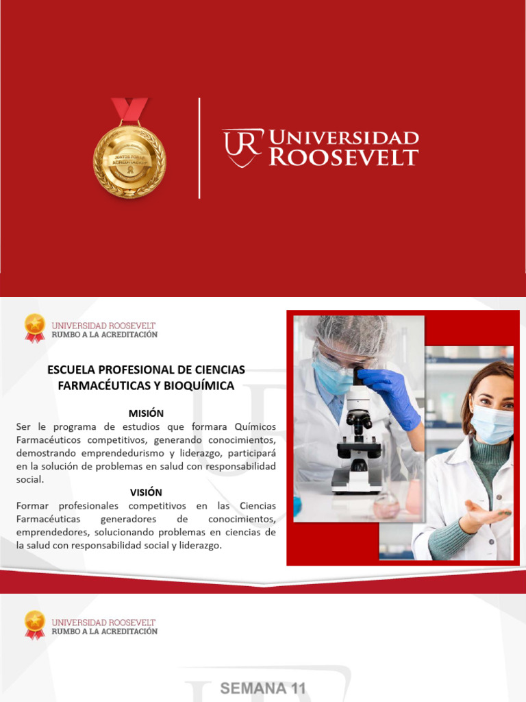 Material de Clases 11 | PDF