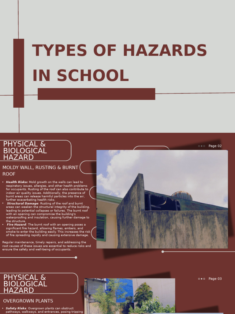 Types of Hazards in School | PDF