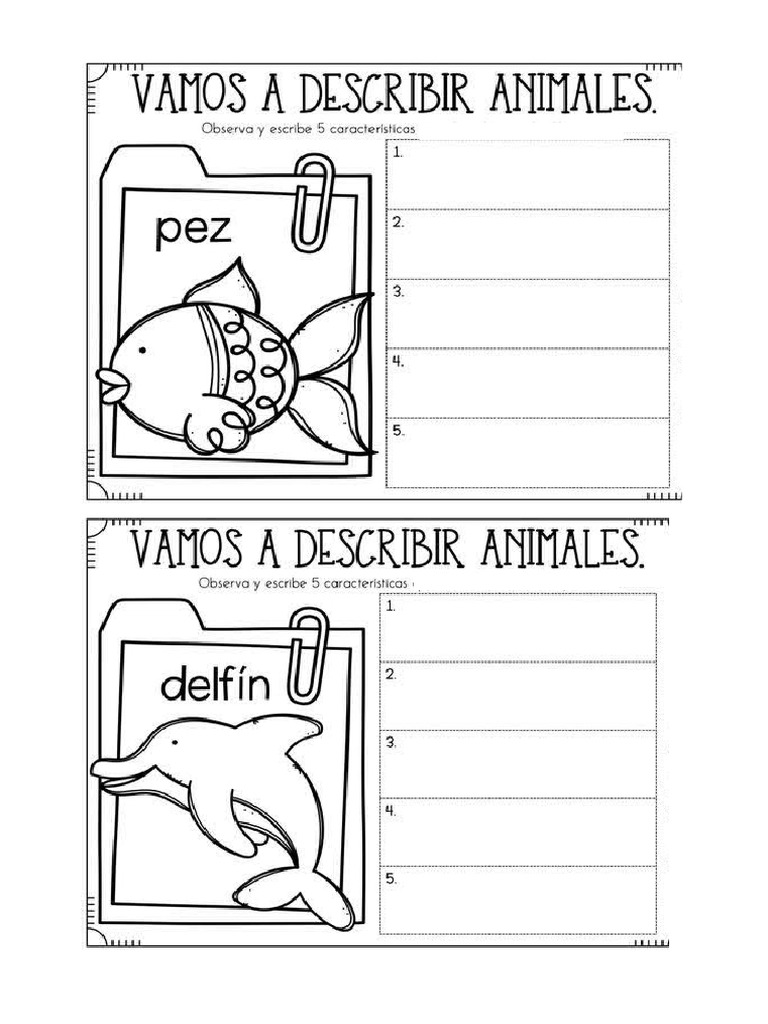 Plancha Ficha Animal Terrestre Acuatico Aeroterrestre | PDF