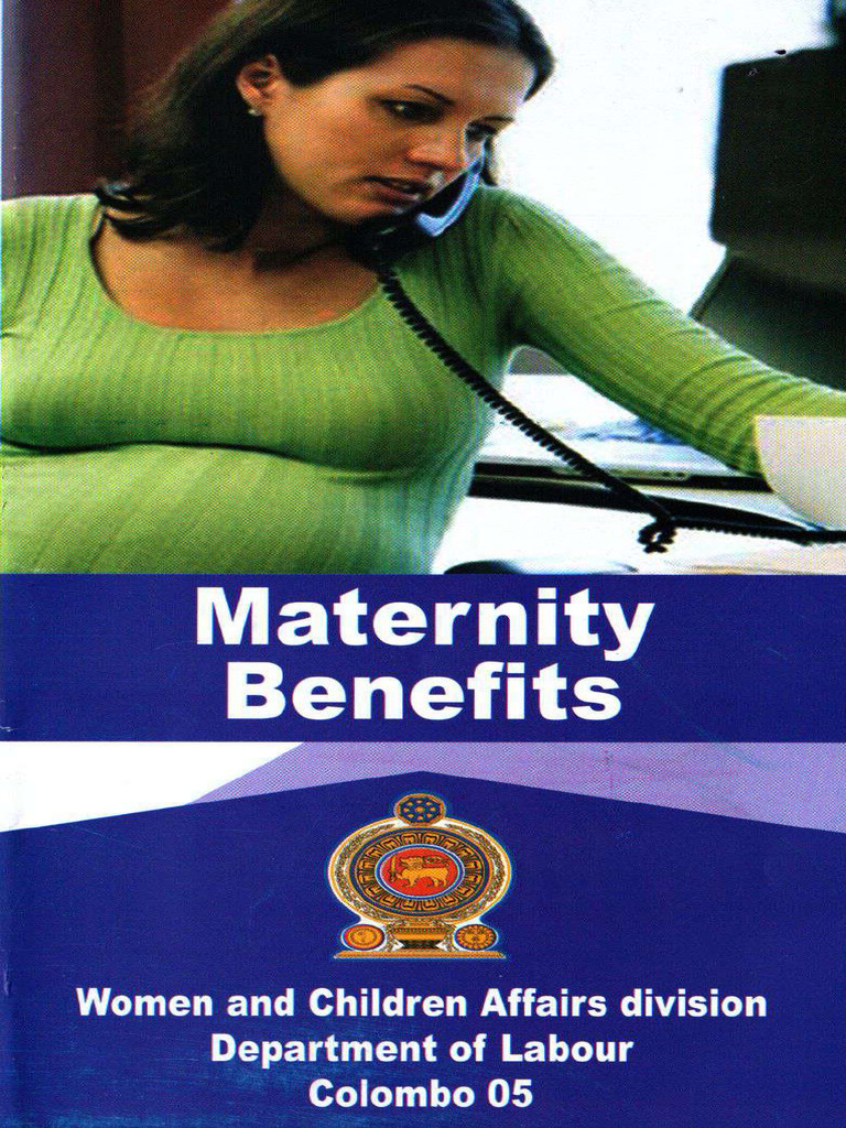 Research On Maternity Policies | PDF