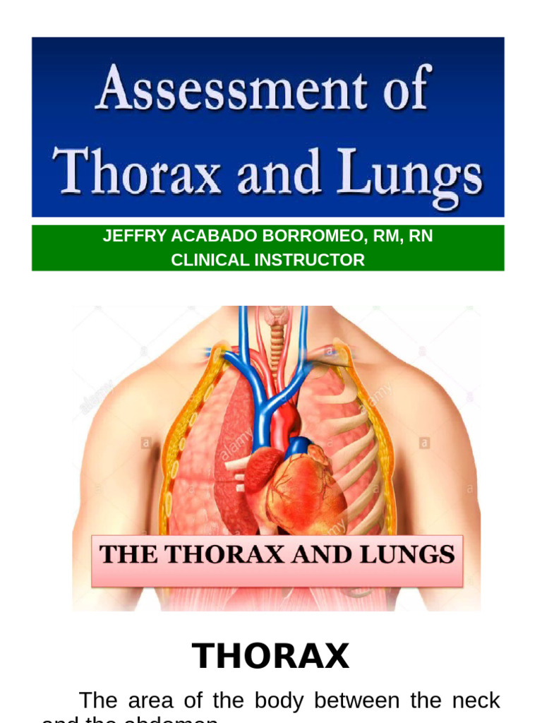 Thorax Anatomy and Chest Deformities | PDF | Thorax | Congenital Disorder