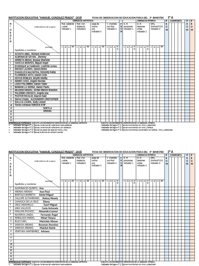 09 Fichas de Obser Iii Gim | PDF