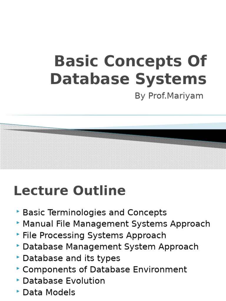 Lecture 1 Database Systems Overview | PDF