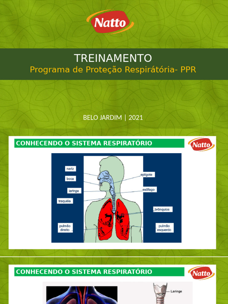 Treinamento PPR | PDF