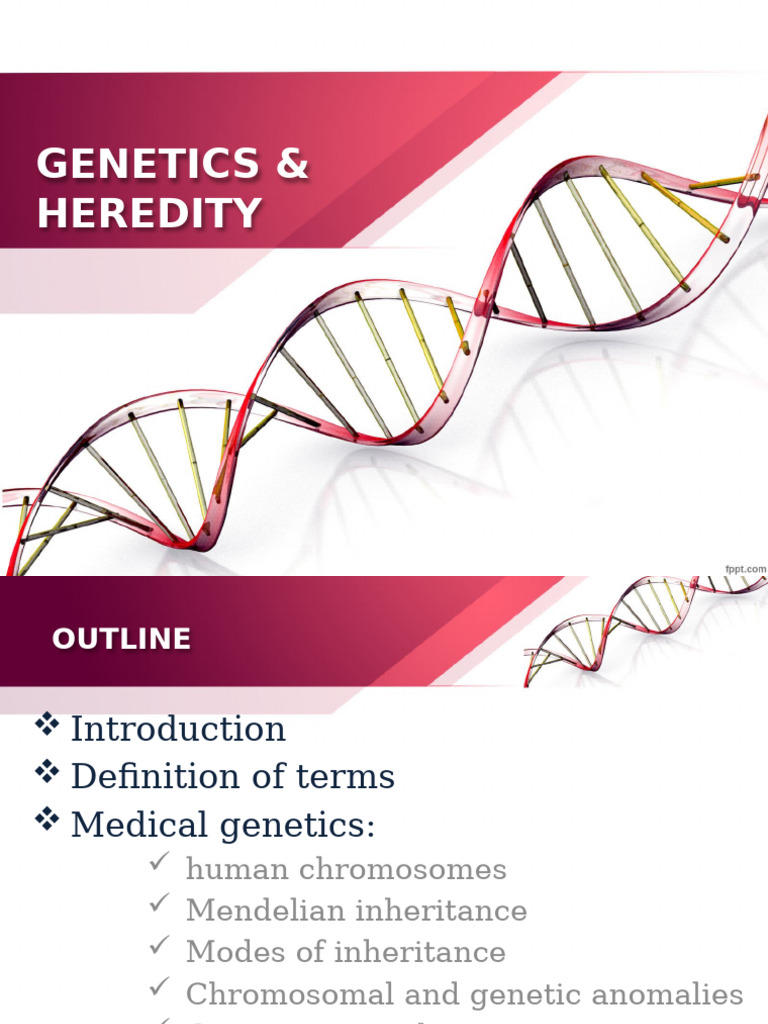 Genetics | PDF