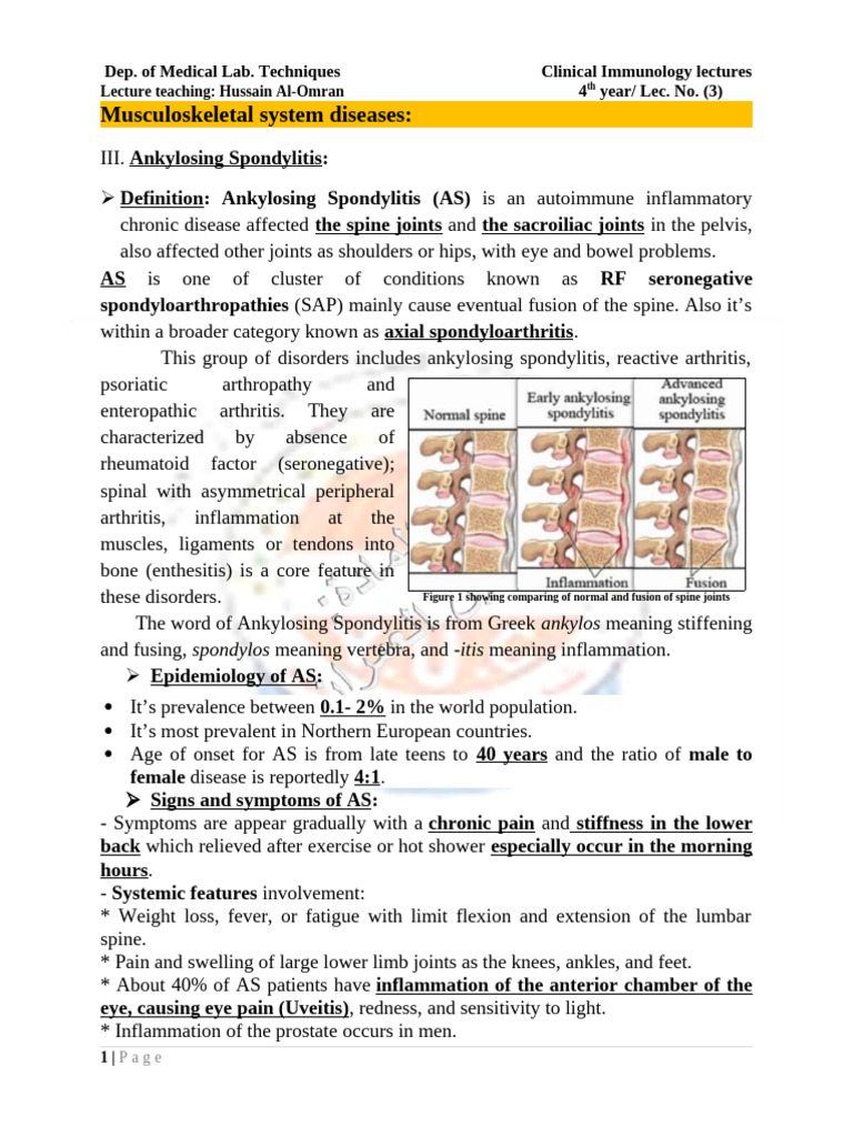 Lec 3 Musculoskeletal System Diseases As And Bd Pdf