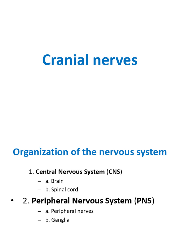 Cranial Nerves (MeerMind) | PDF