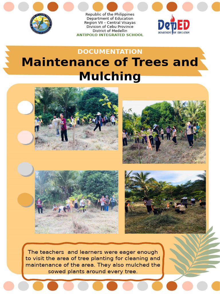 Tree Planting | PDF
