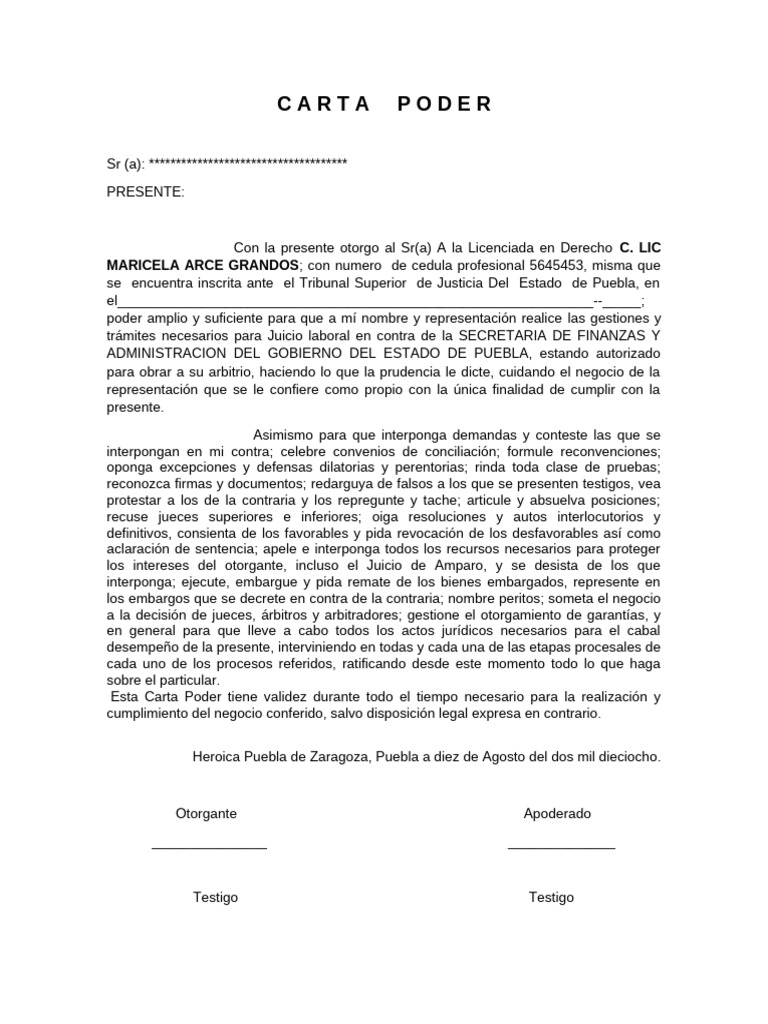 Carta Poder: MARICELA ARCE GRANDOS Con Numero de Cedula Profesional 5645453, Misma Que | PDF